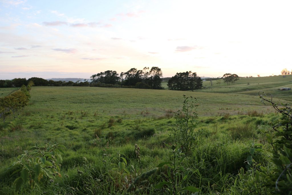 Senior Campus – Whenuapai School