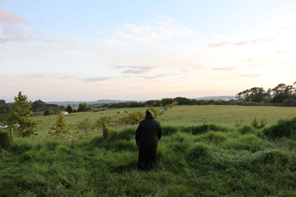 Senior Campus – Whenuapai School